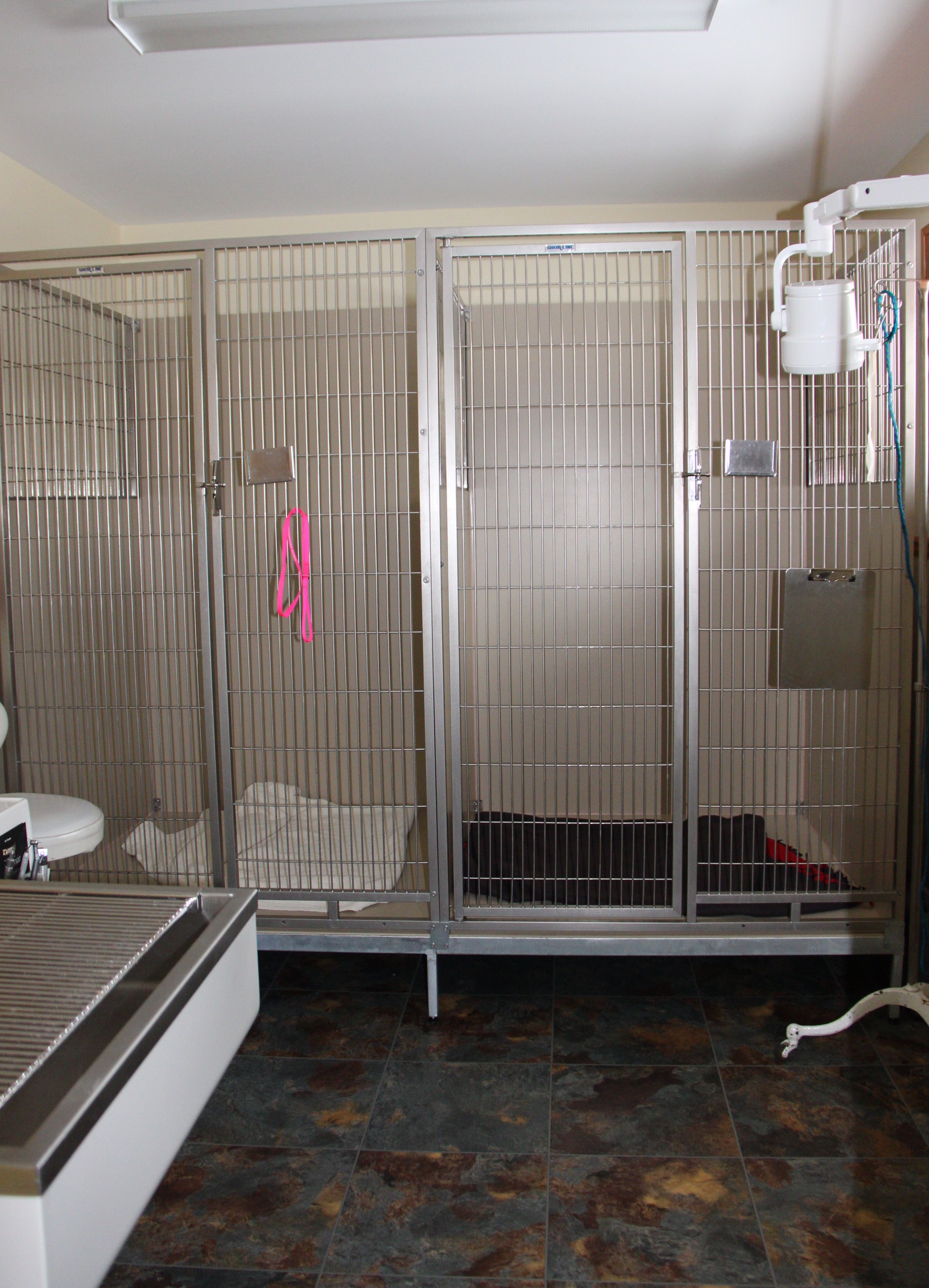 Virtual Tour | Indian River Veterinary Clinic | Top Pet Care